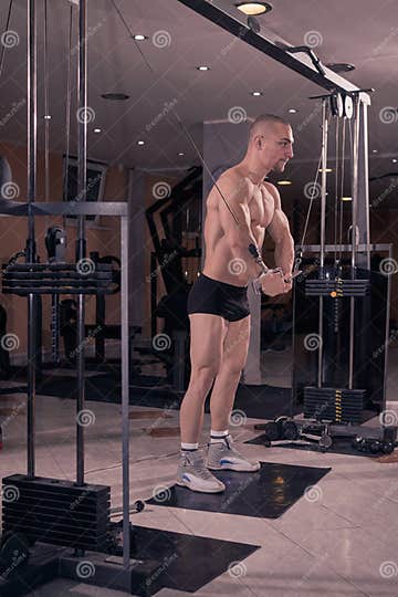 One Bodybuilder, Multi-Station Gym Machine, Cable Pulling, Full Stock ...