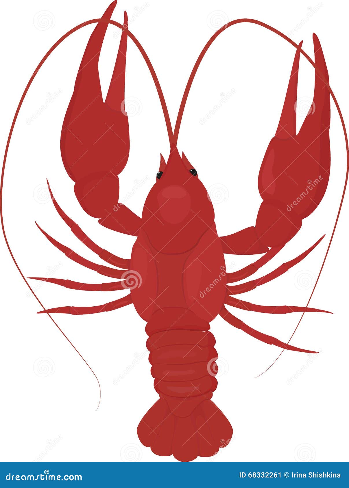 One Boiled Red Crayfish, Crawfish Stock Vector - Illustration of ...