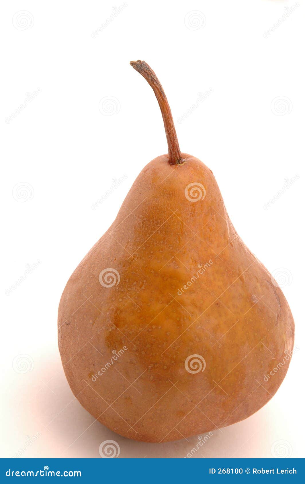 One bosc pear stock photo. Image of vertical, edible, white - 268100