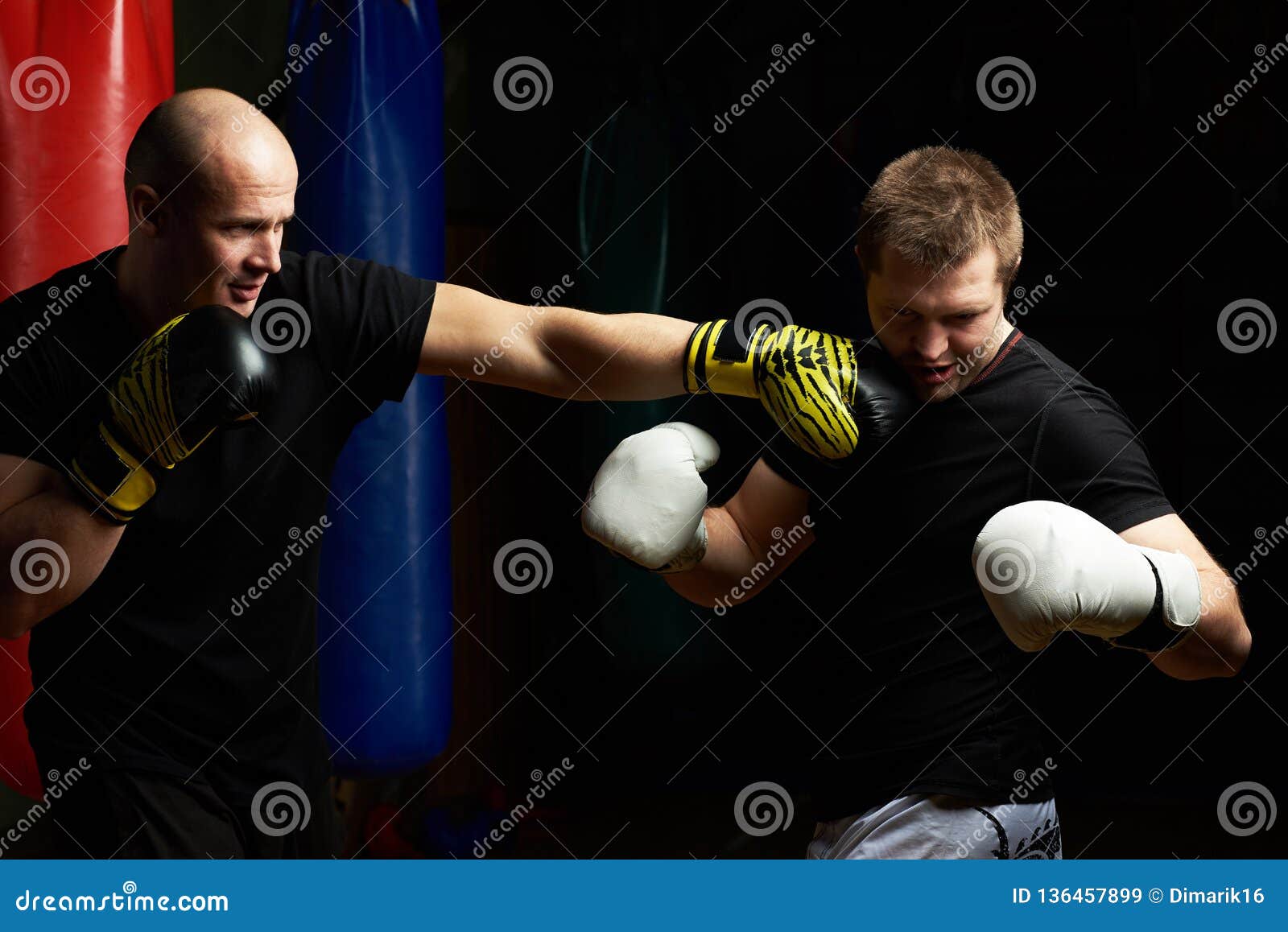 One boxer making knockout stock image. Image of sport - 136457899