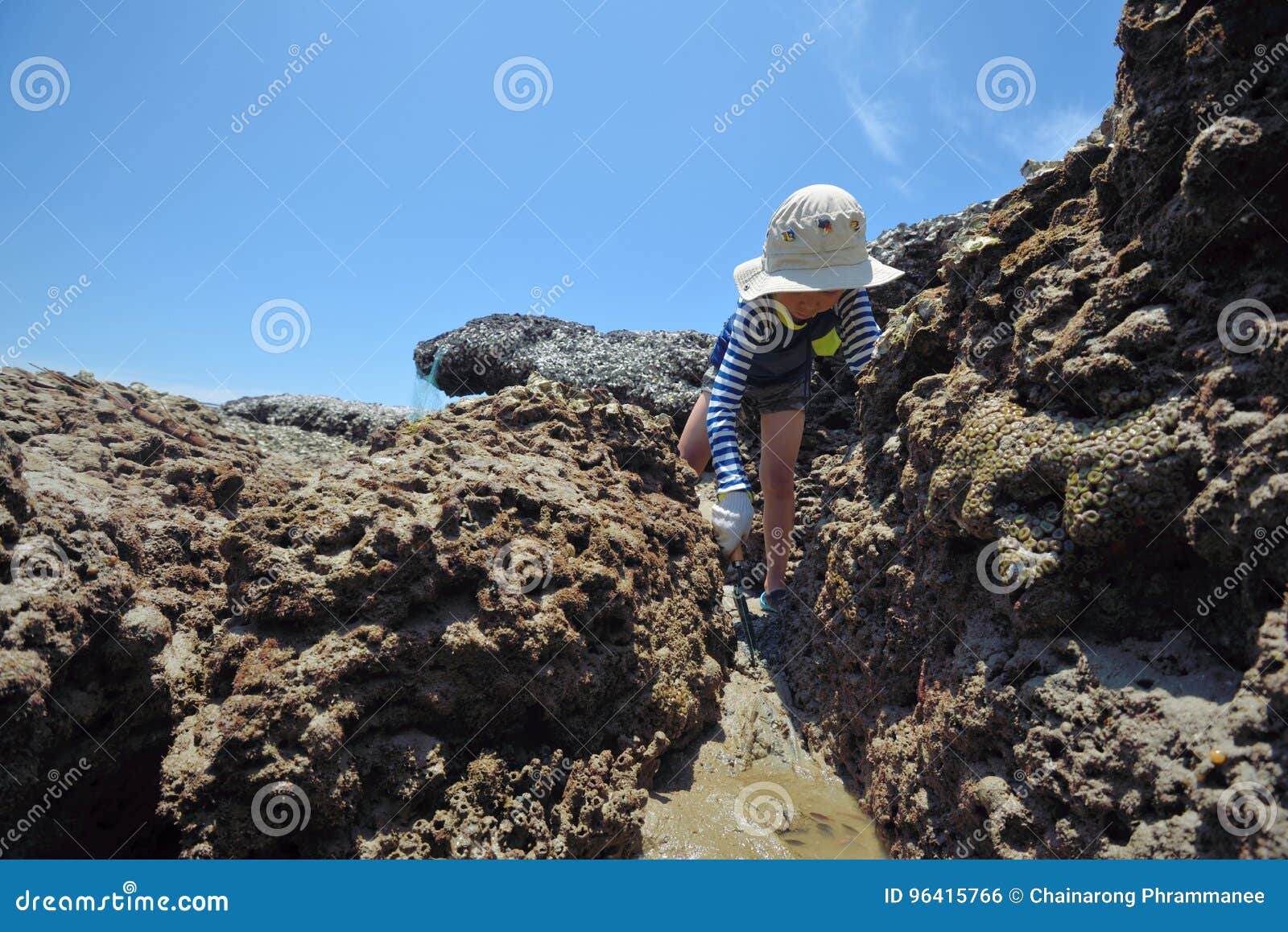 One Boy is Digging and Learning the Rocks. Stock Photo - Image of child ...