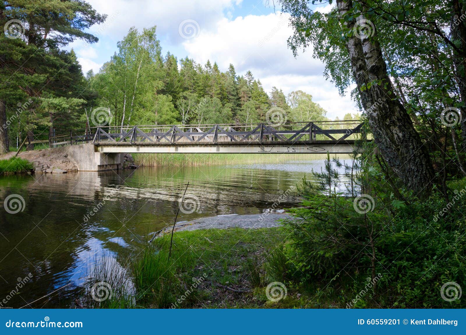 One bridge with the lake stock image. Image of landscape - 60559201