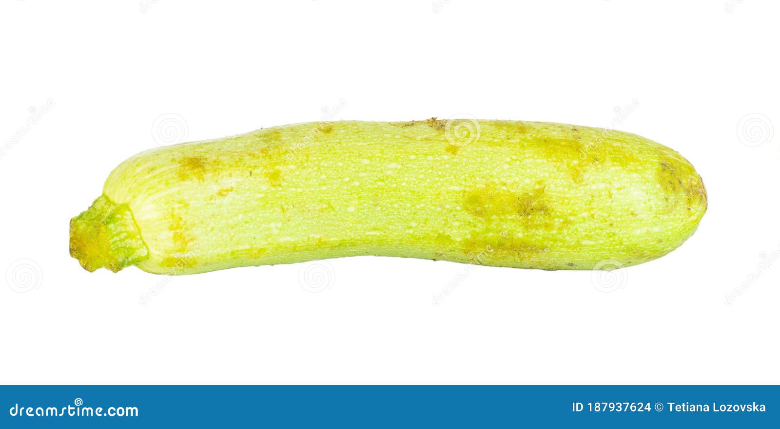 One Bright Green Squash on White Background Stock Photo - Image of ...