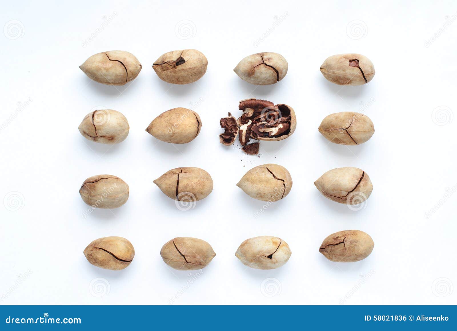 One broken nut stock photo. Image of group, agriculture - 58021836