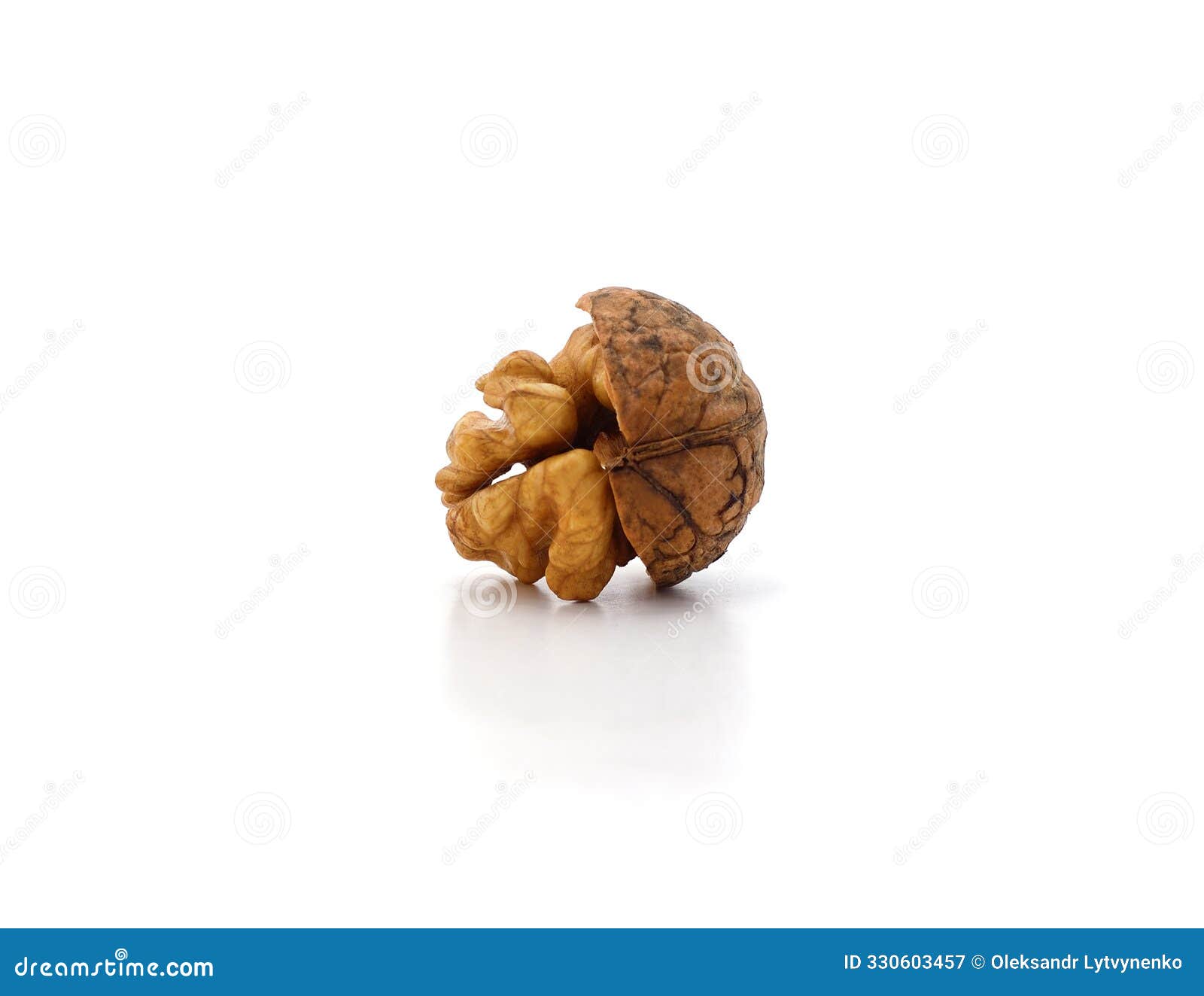 One broken nut stock image. Image of food, falling, organic - 330603457
