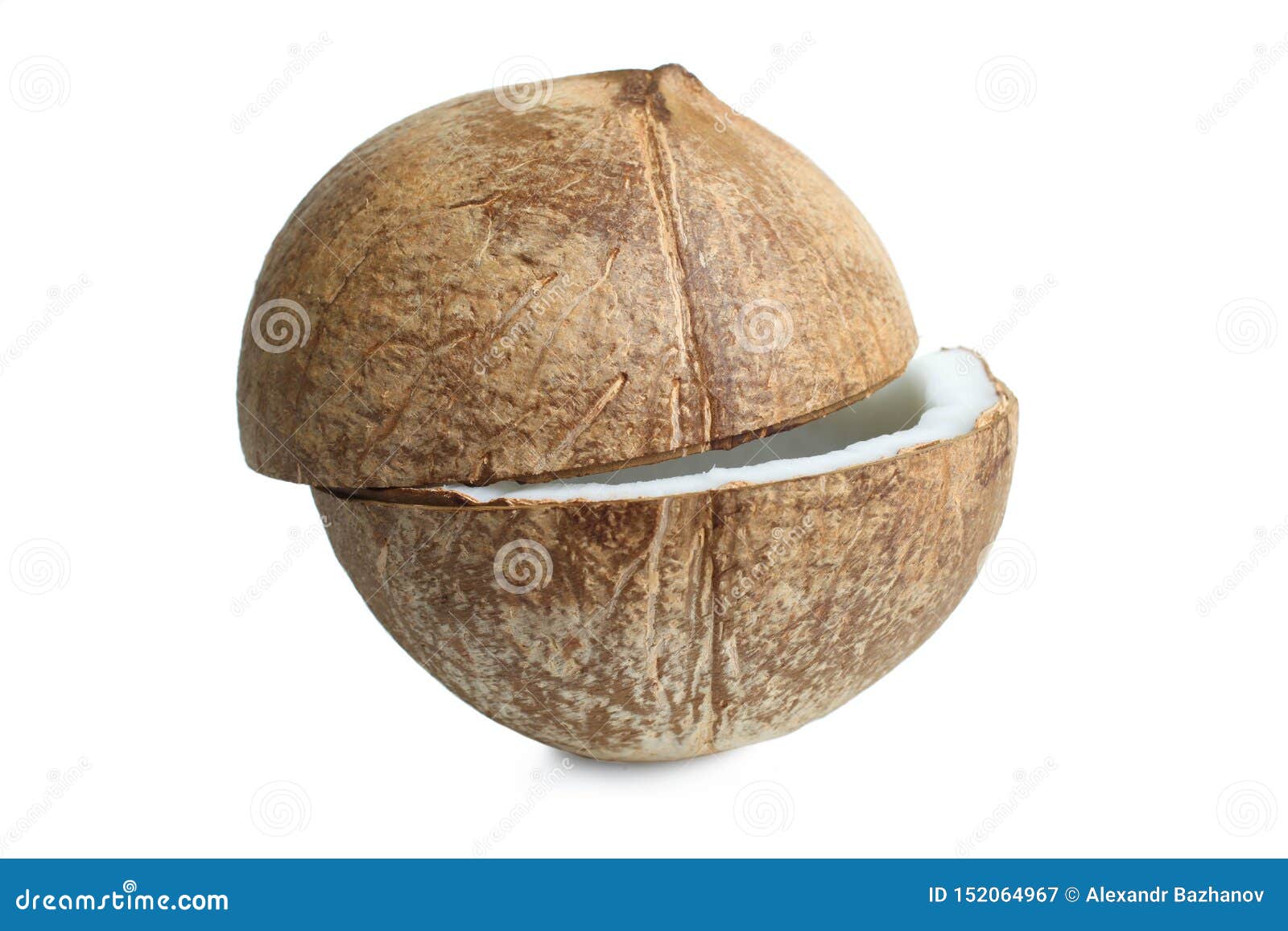 One Broken Tropical Coconut Stock Image - Image of food, tropical ...