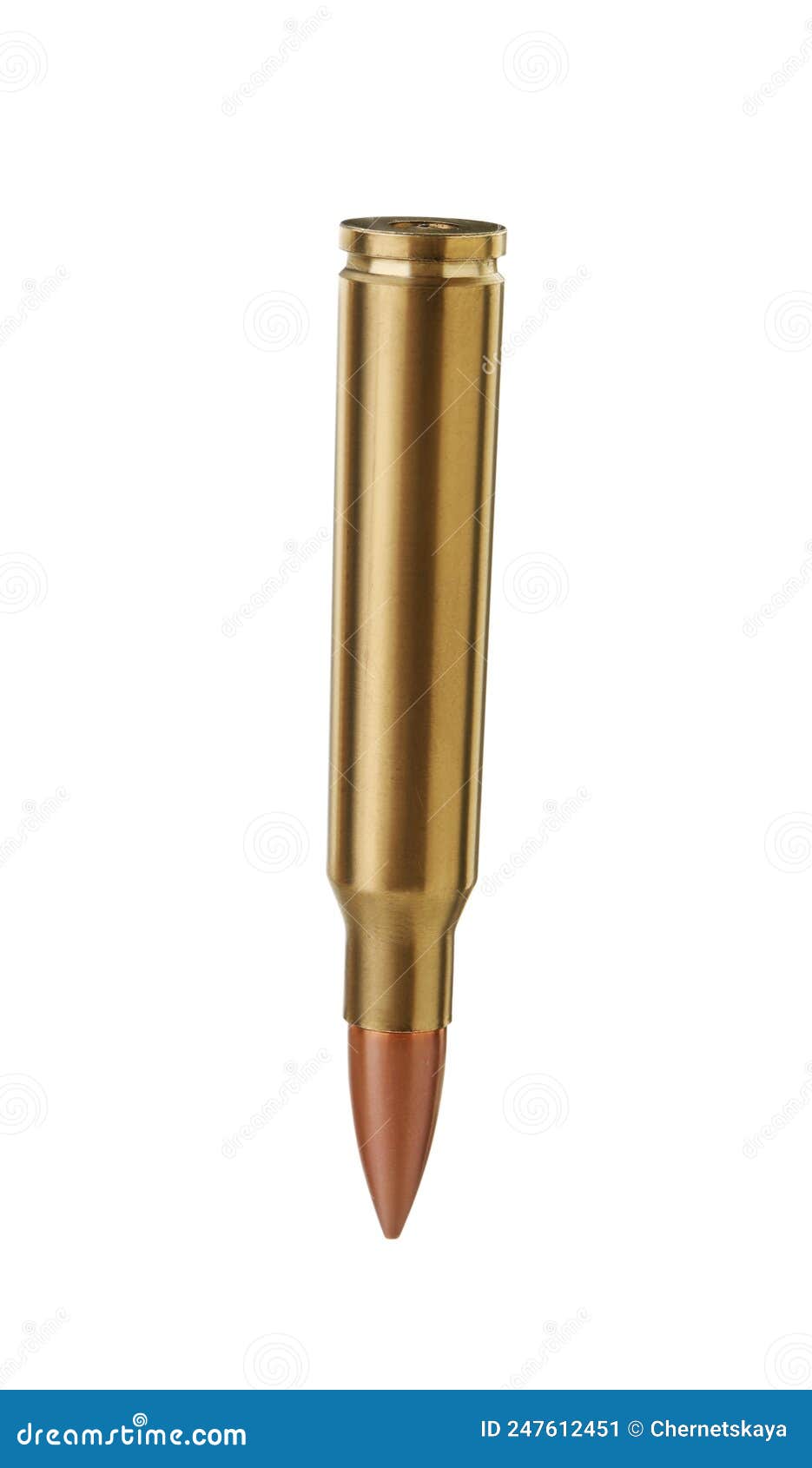 One Bullet Isolated on White. Firearm Ammunition Stock Image - Image of ...
