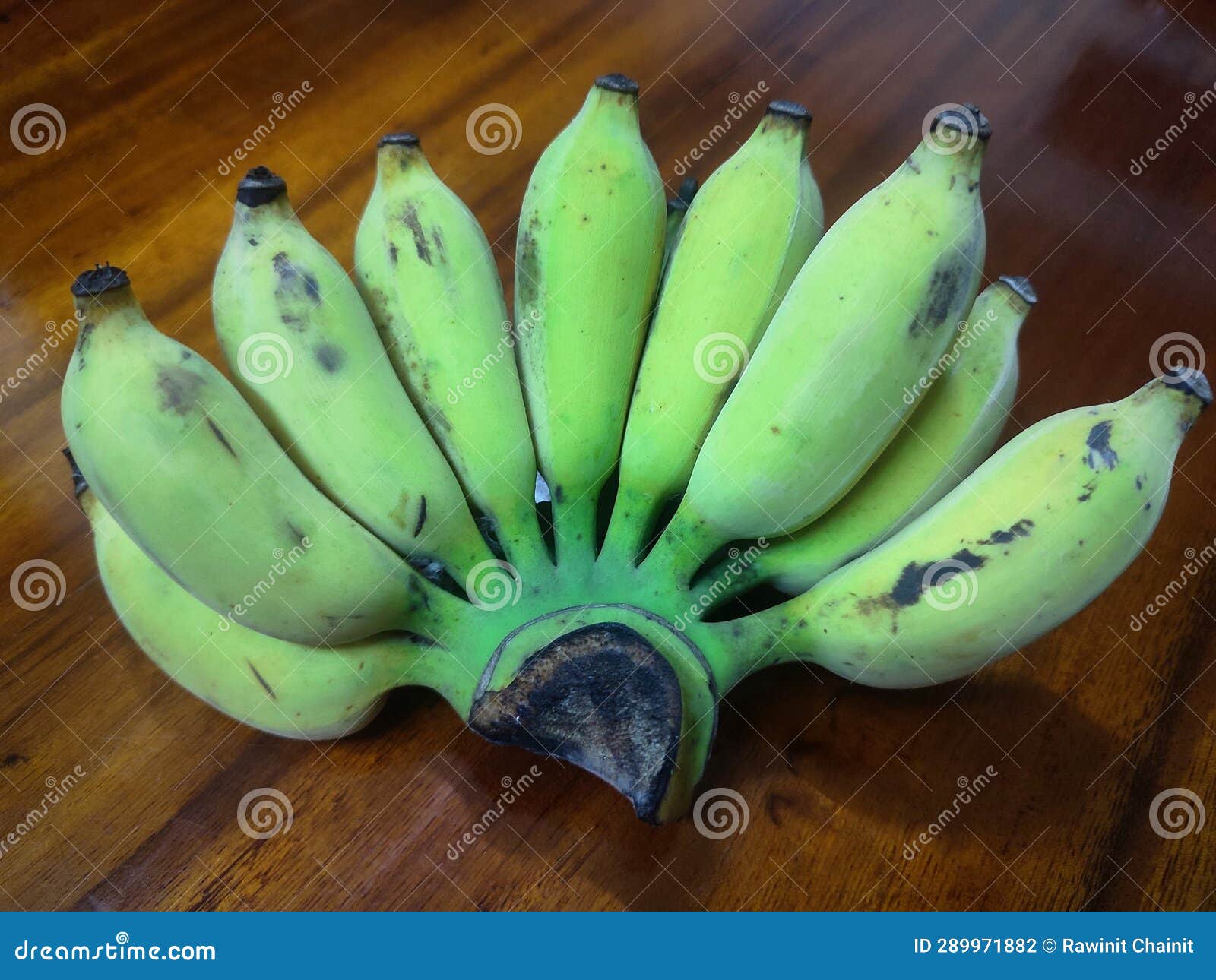 One bunch of bananas stock photo. Image of called, petal - 289971882