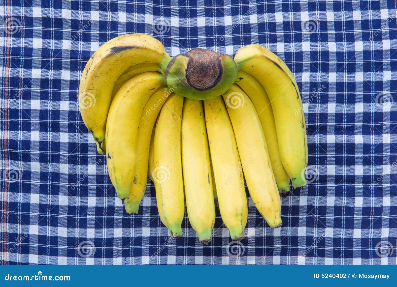 One Bunch of Bananas , Tropical Fruit Stock Image - Image of summer ...