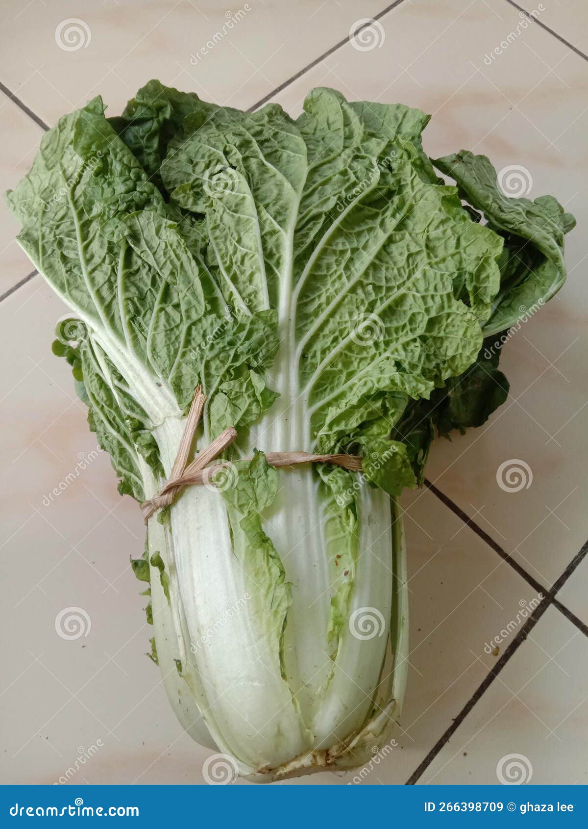 One bunch of cabbage stock image. Image of meal, soil - 266398709
