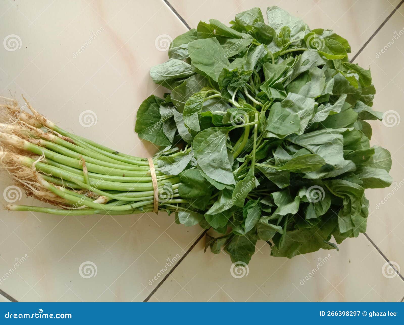 One Bunch of Fresh Young Spinach Stock Image - Image of herb, garden ...