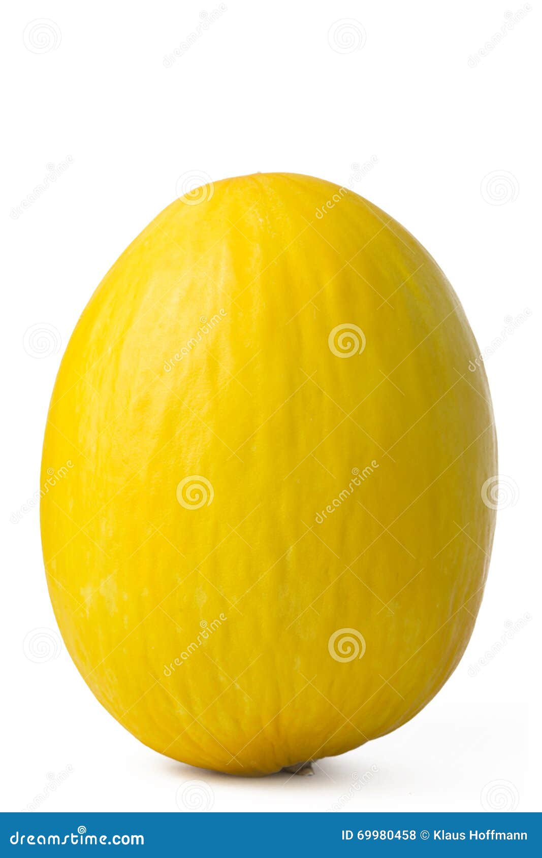 One Cantaloupe Melon Vertical Stock Photo - Image of cantelope ...