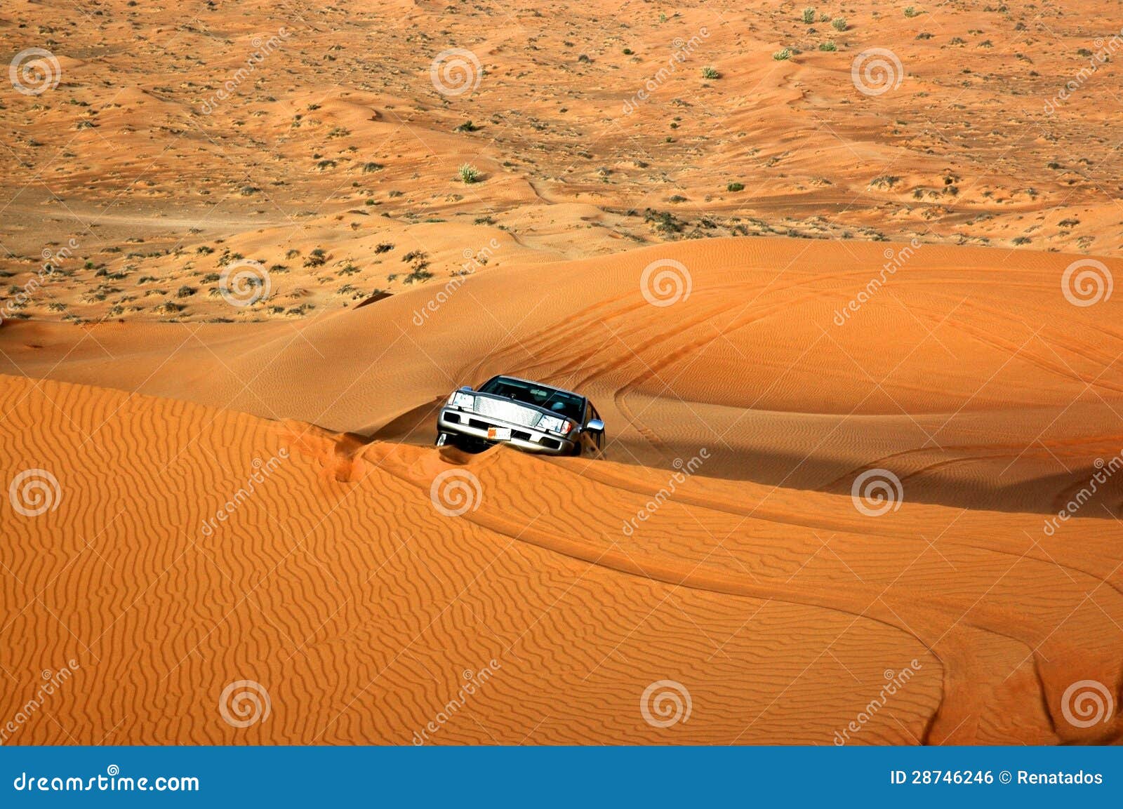 One Car in Wild Gold Color Desert, Dune Background Stock Photo - Image ...
