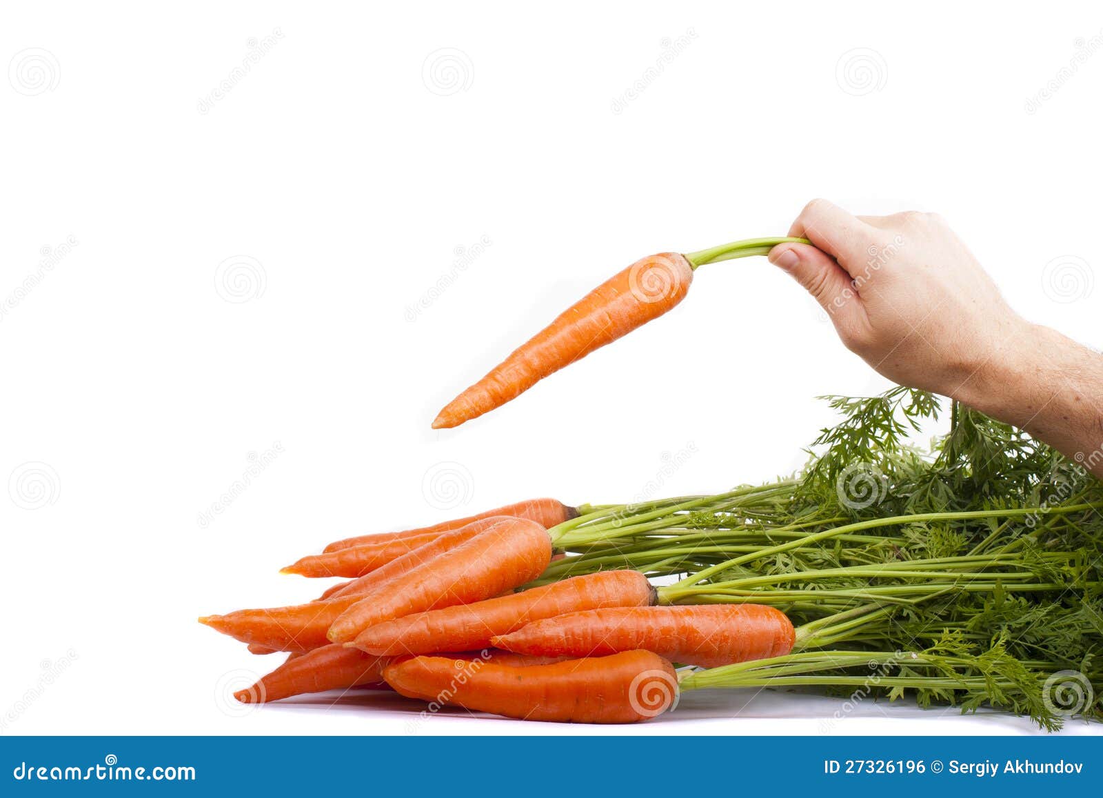 One carrot stock photo. Image of carrot, copy, crunchy - 27326196