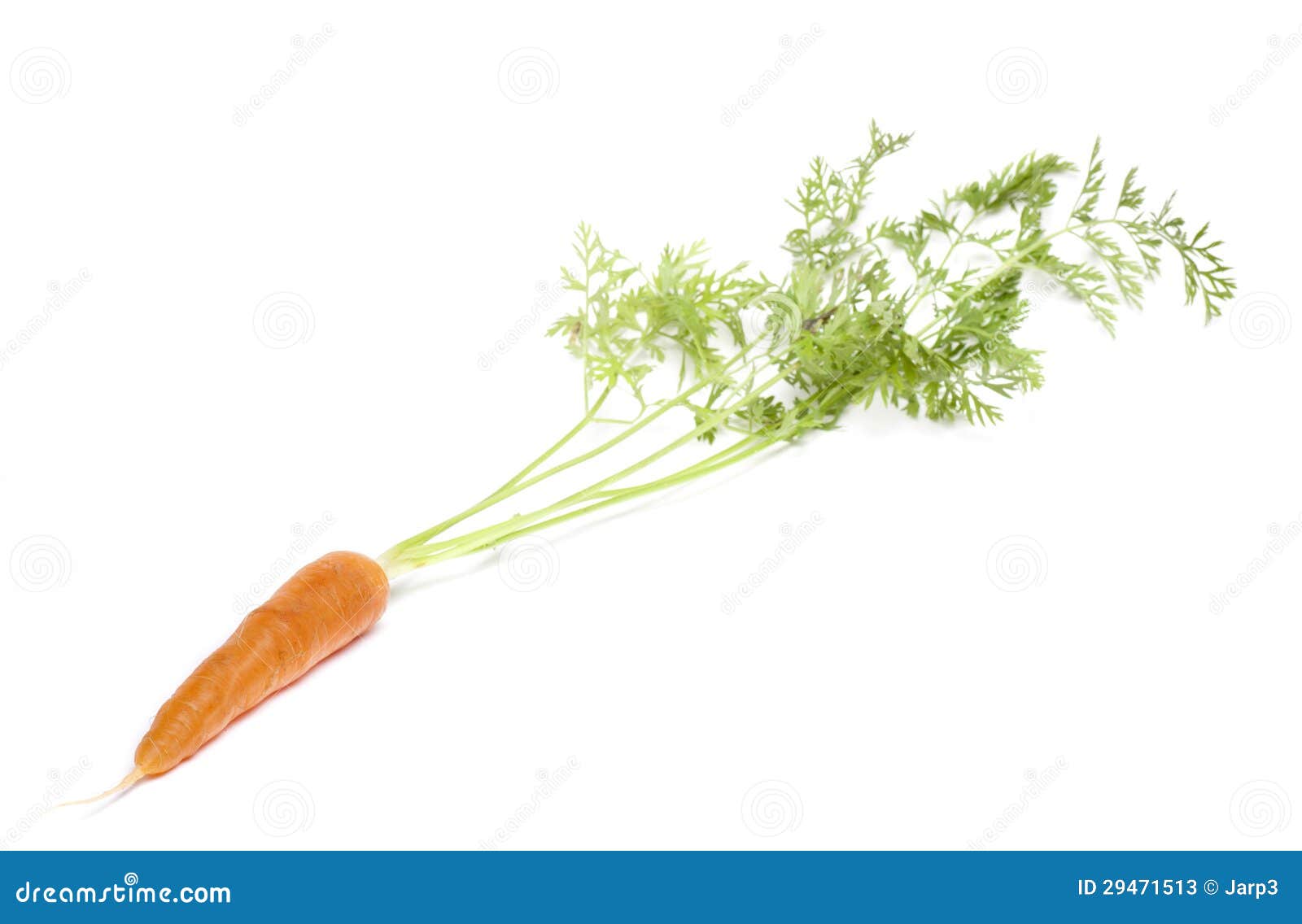 One carrot stock image. Image of harvest, organic, plant - 29471513