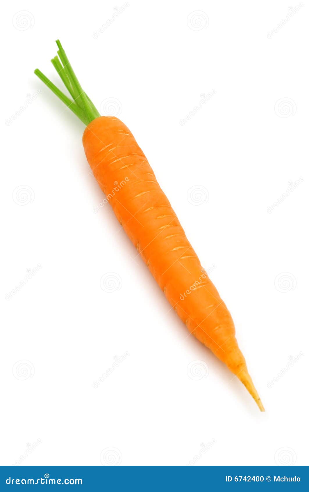 13,060 One Carrot Photos - Free & Royalty-Free Stock Photos from Dreamstime