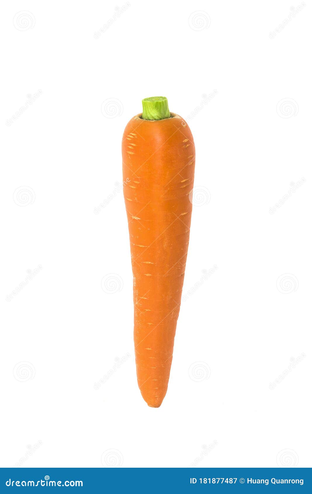 One Carrot Isolated on White Background Stock Illustration ...