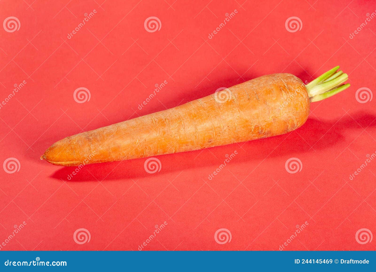 One carrot on red stock image. Image of vivid, vegetable - 244145469