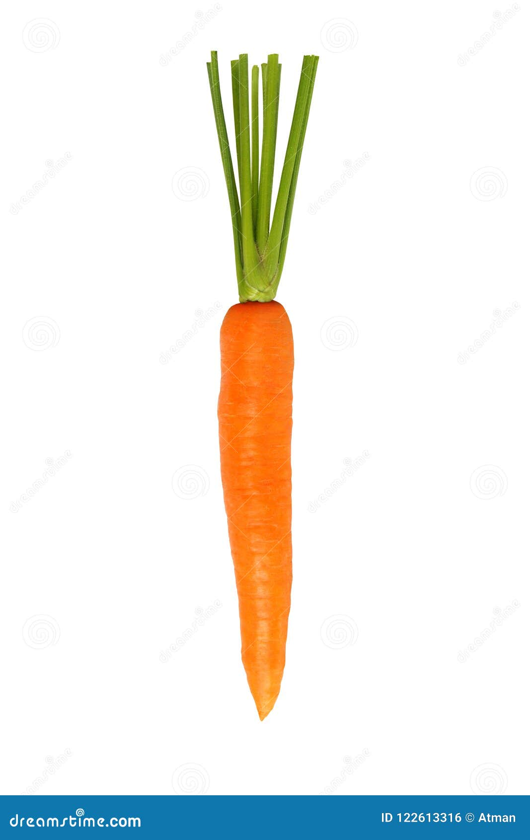 One Carrot on White Background Stock Photo - Image of carrot, white ...