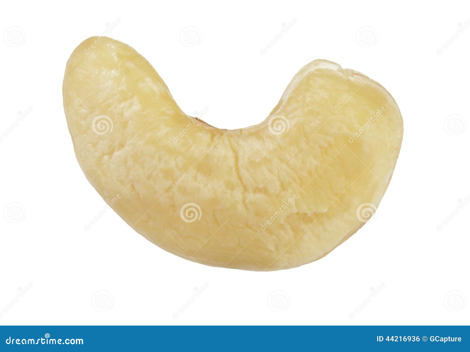 One cashew nut stock photo. Image of food, fruit, brown - 44216936