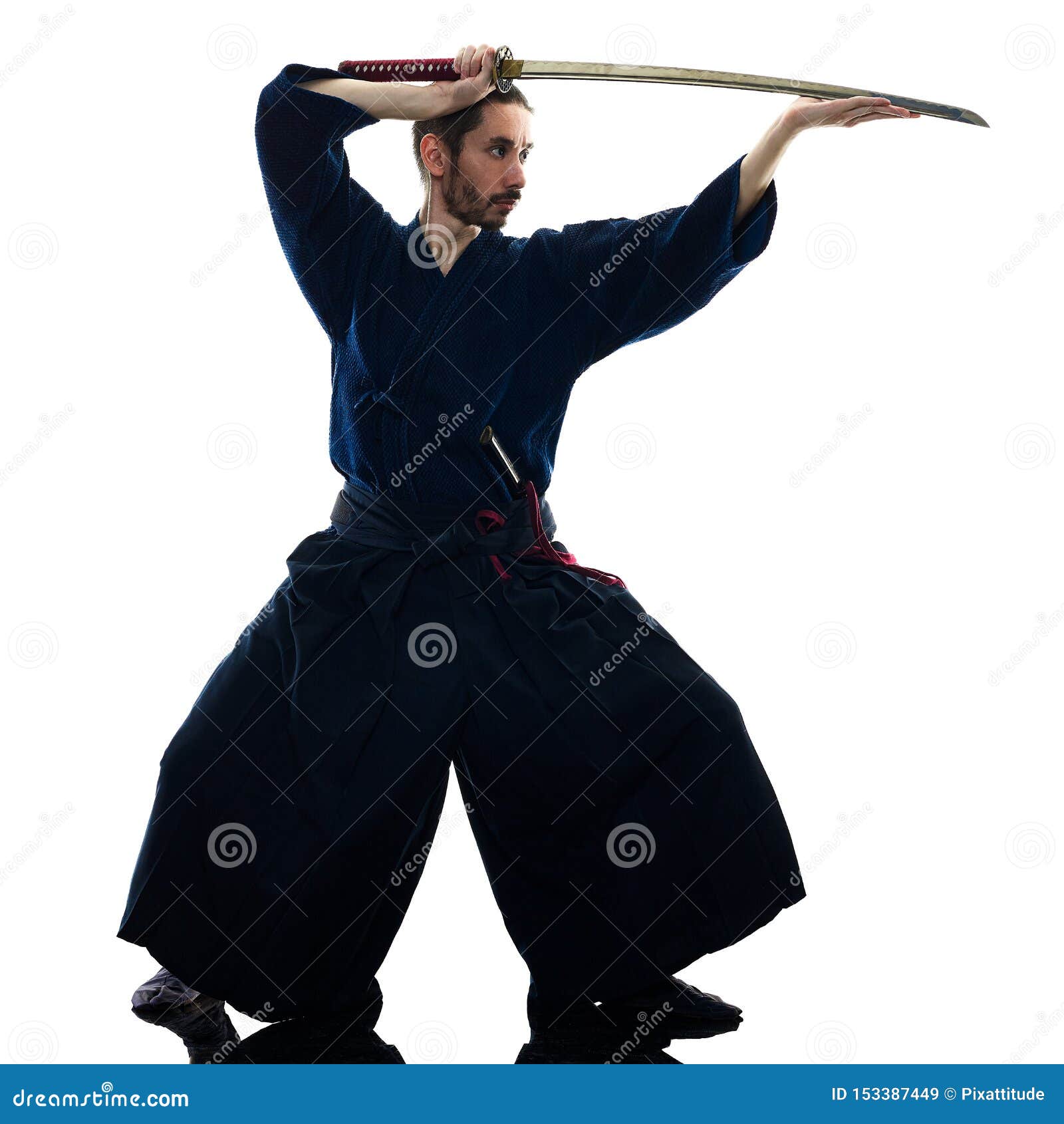 Laido Katori Shinto Ryu Isolated Shadow Silhouette White Background ...