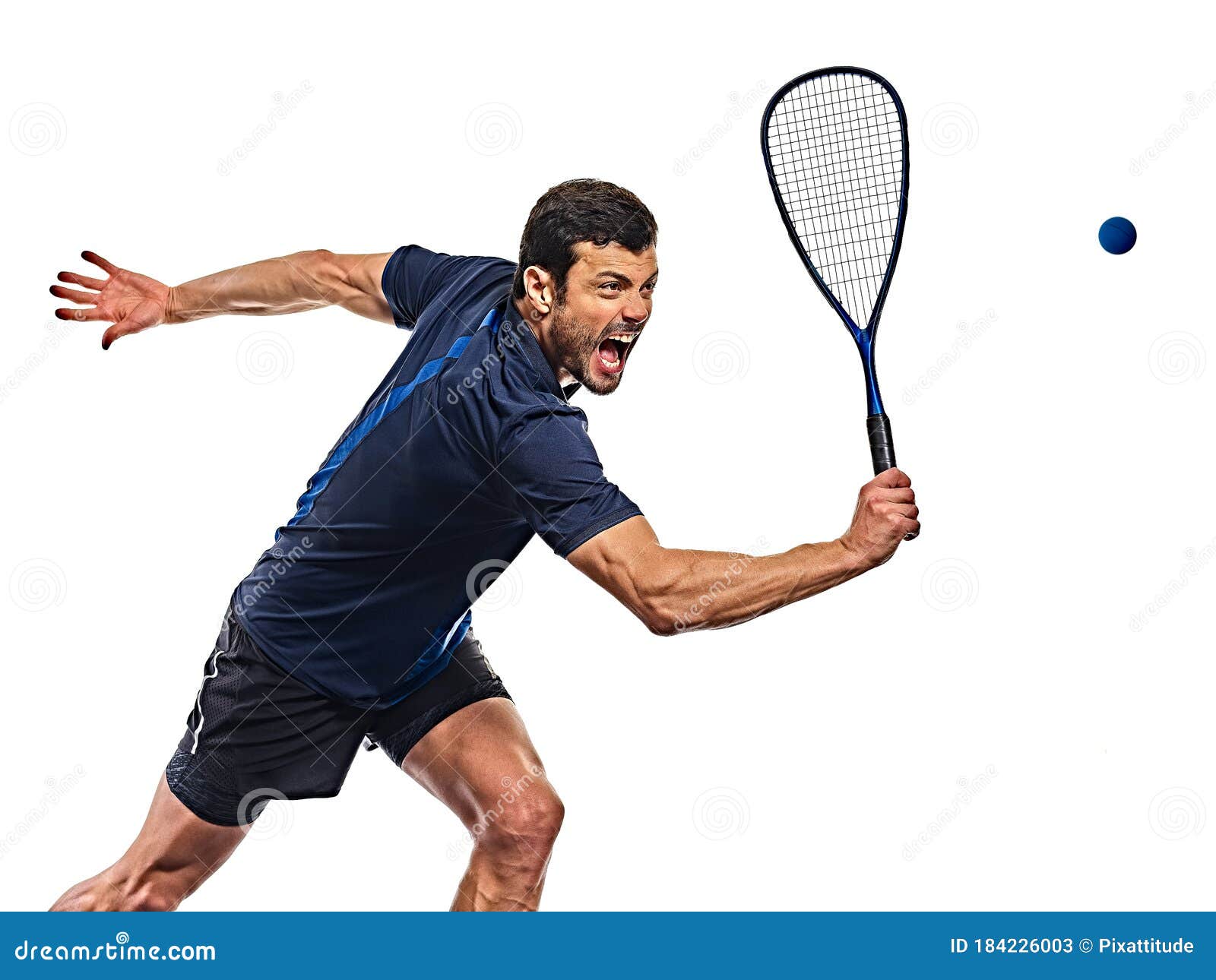 Squash Player Man Isolated White Background Stock Image - Image of ...