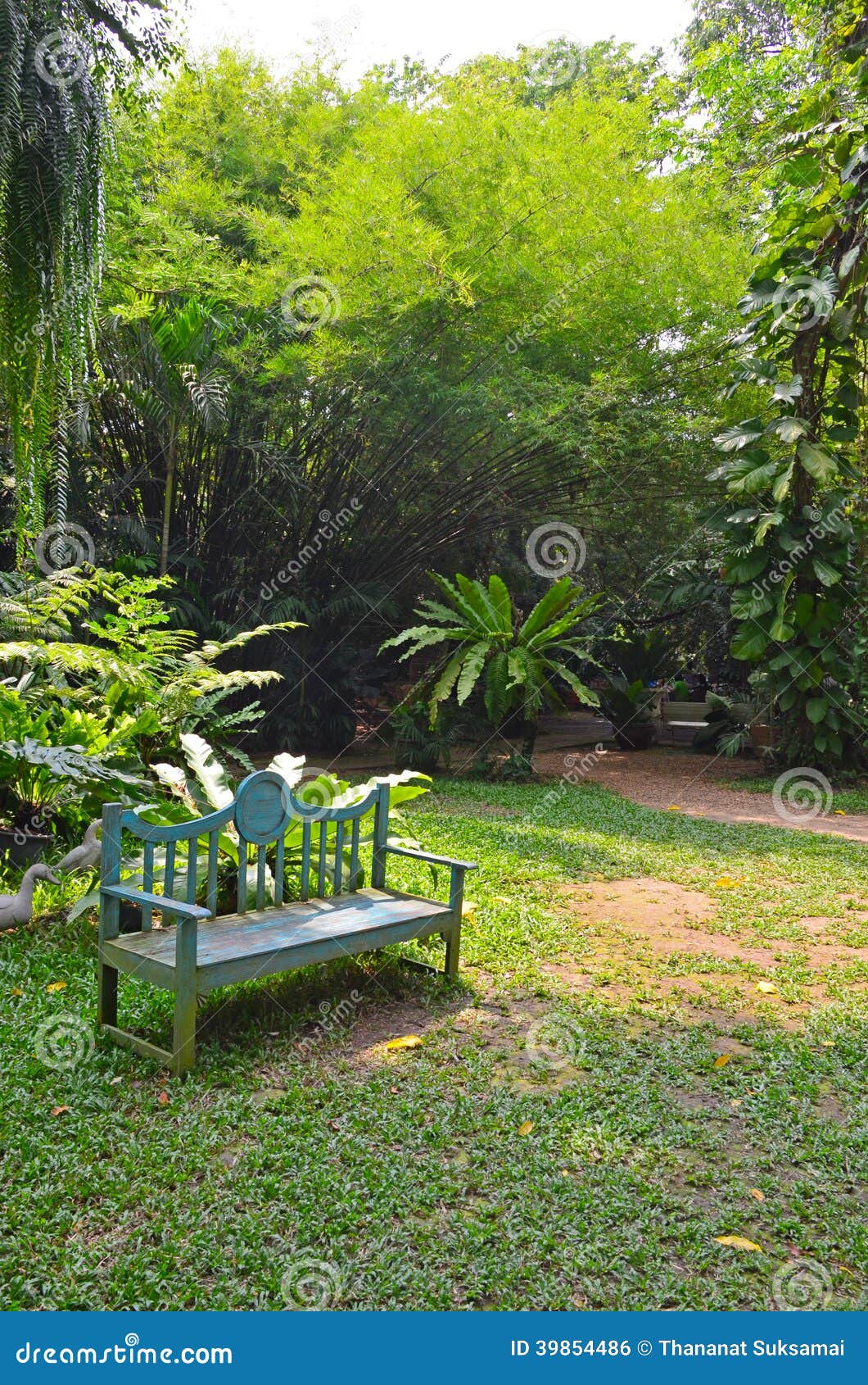 One Chair in Garden stock photo. Image of wooden, season - 39854486