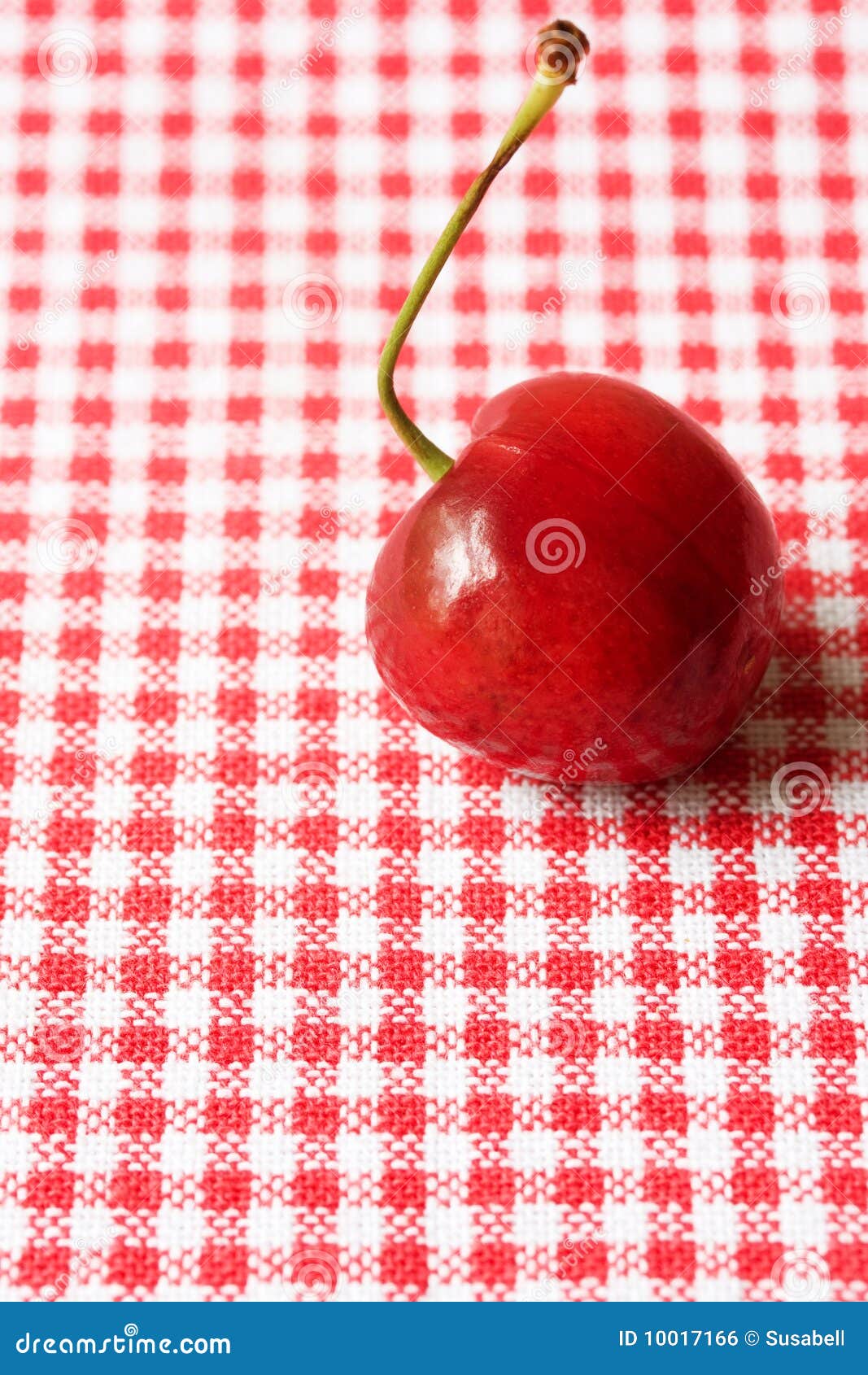 One cherry stock photo. Image of fruit, stem, check, gingham - 10017166