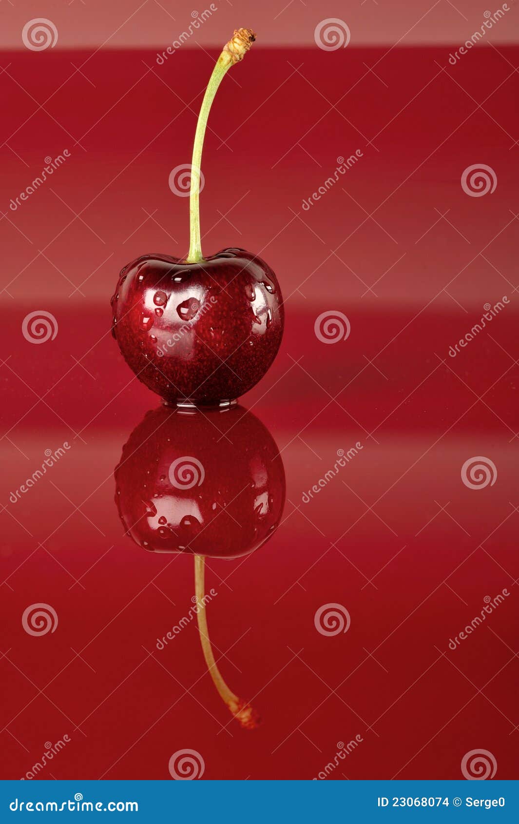 One Cherry stock photo. Image of fruits, delicious, healthy - 23068074