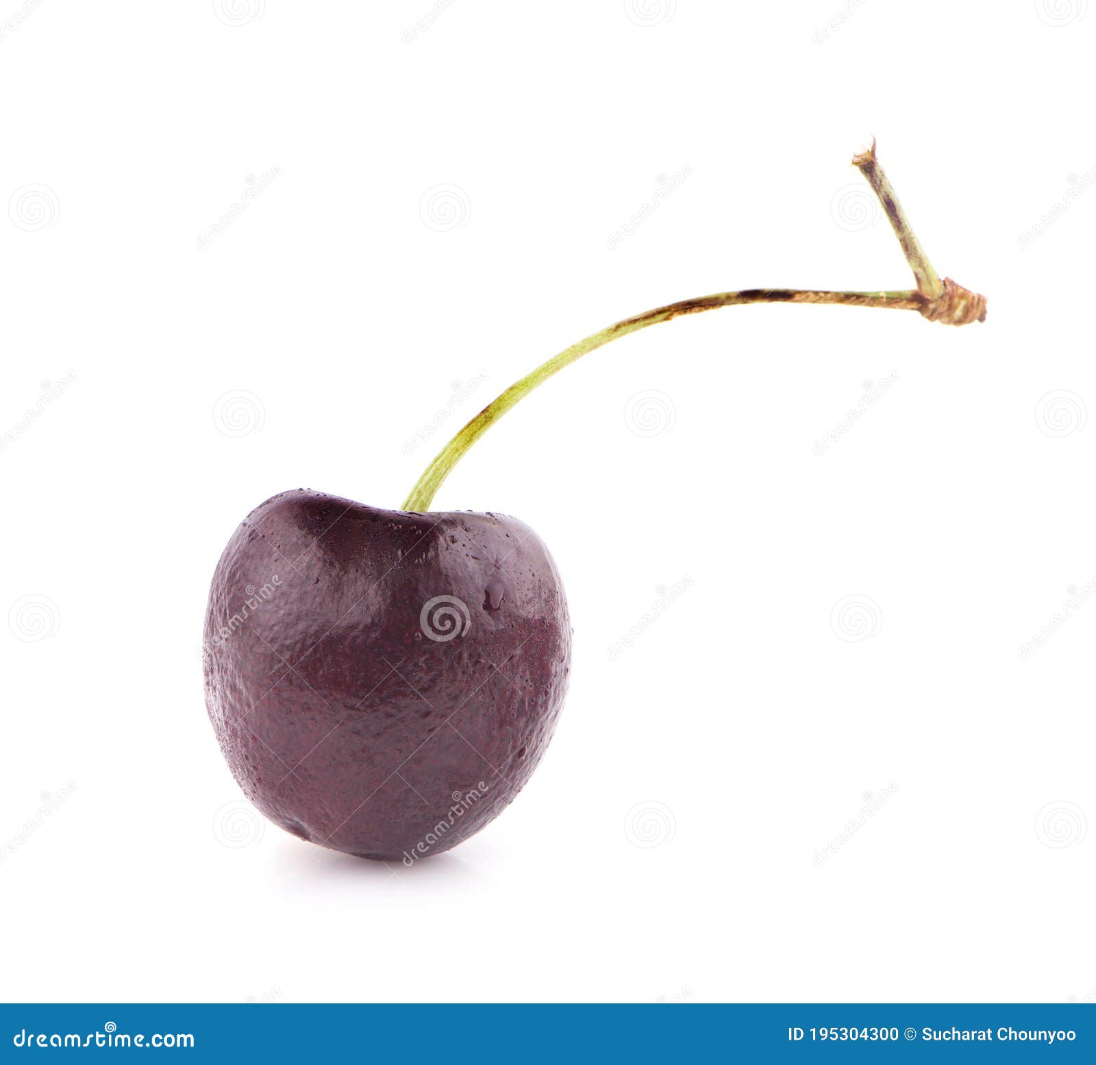 One Cherry an Isolated on White Background Stock Photo - Image of ripe ...