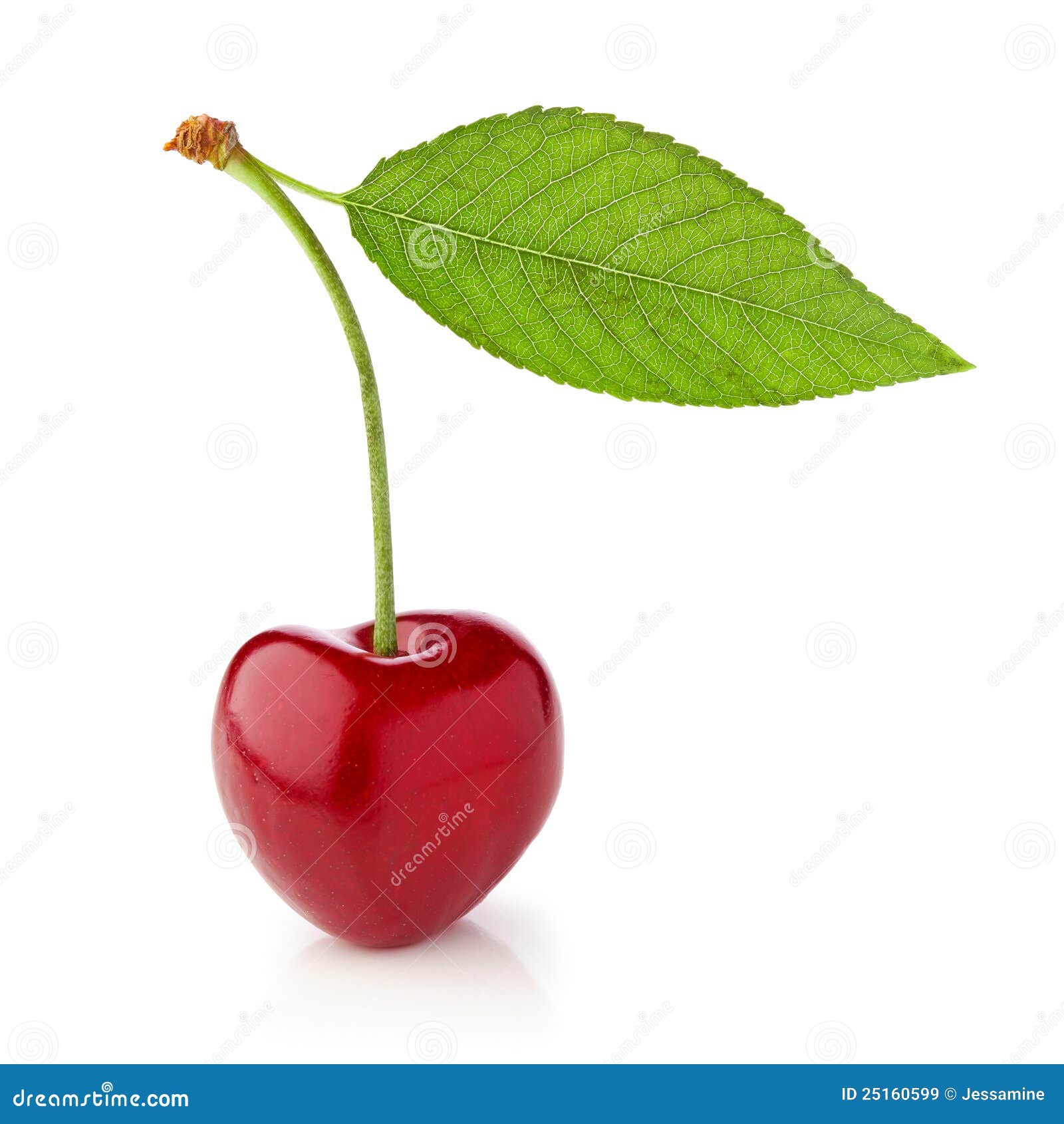 One cherry with leaf stock image. Image of tasty, leaf - 25160599