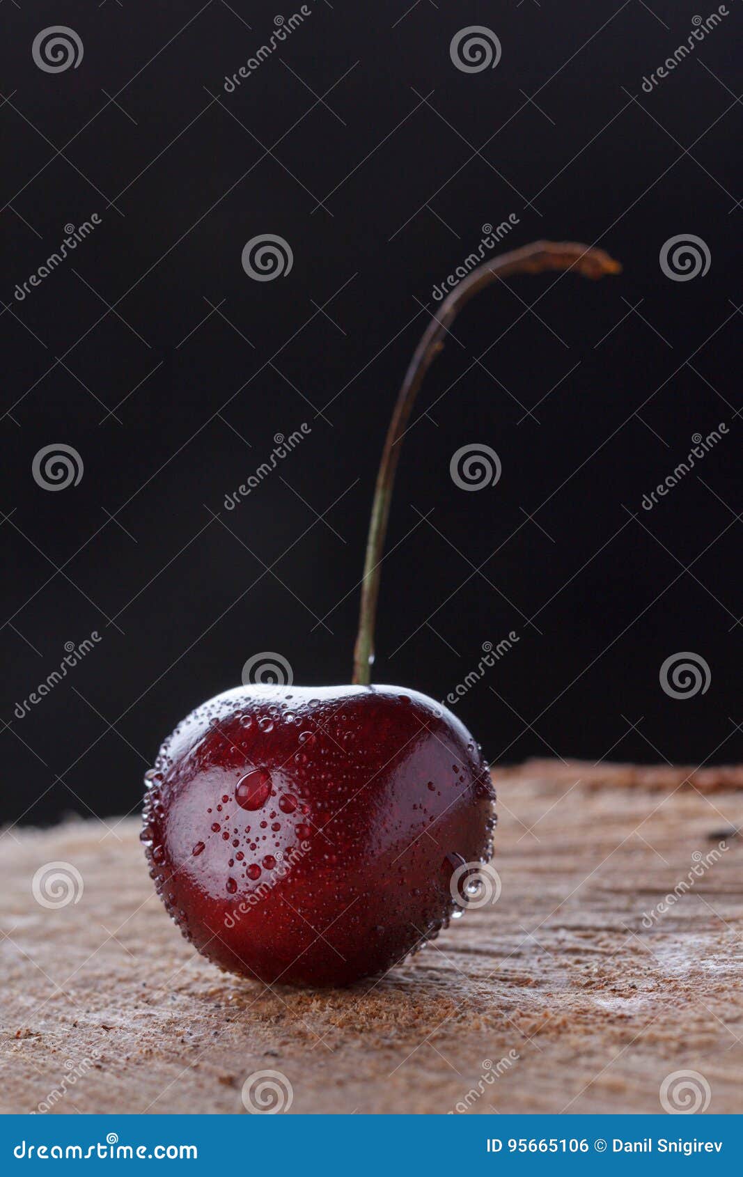 One Cherry on a Tree on a Dark Background. Stock Photo - Image of diet ...