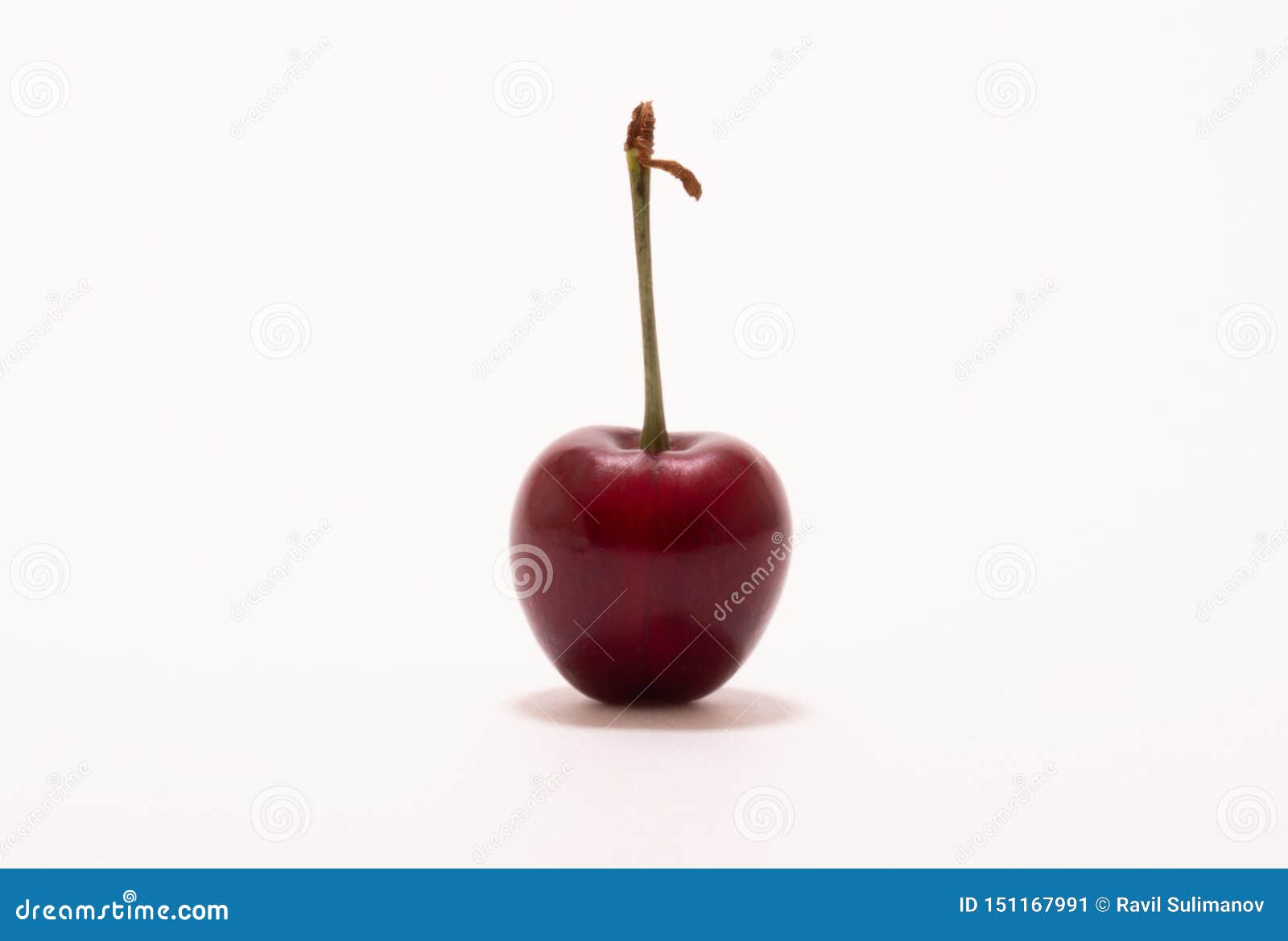One Cherry on a White Background Close-up Stock Image - Image of tree ...