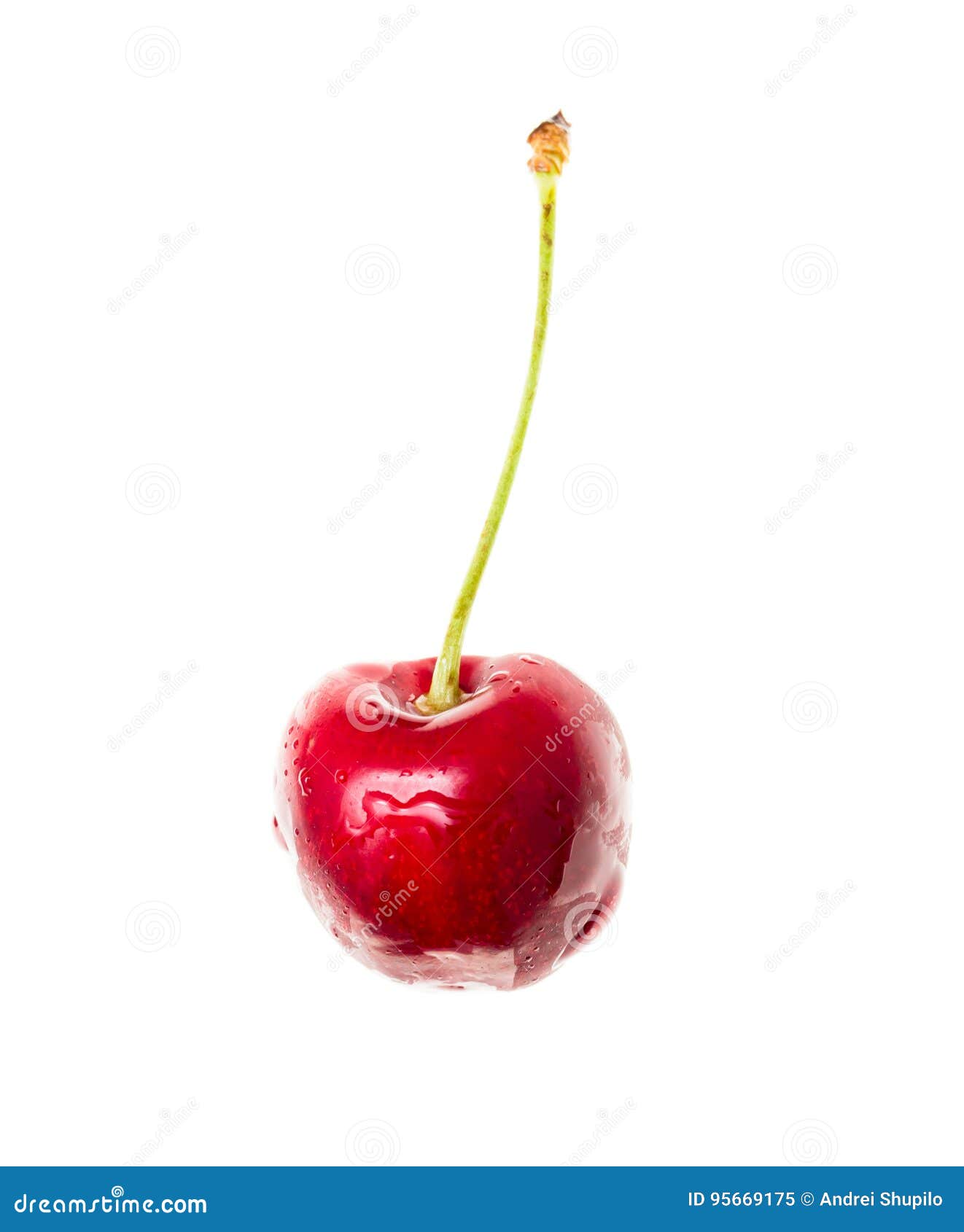 One Cherry on a White Background Stock Image - Image of tasty, single ...