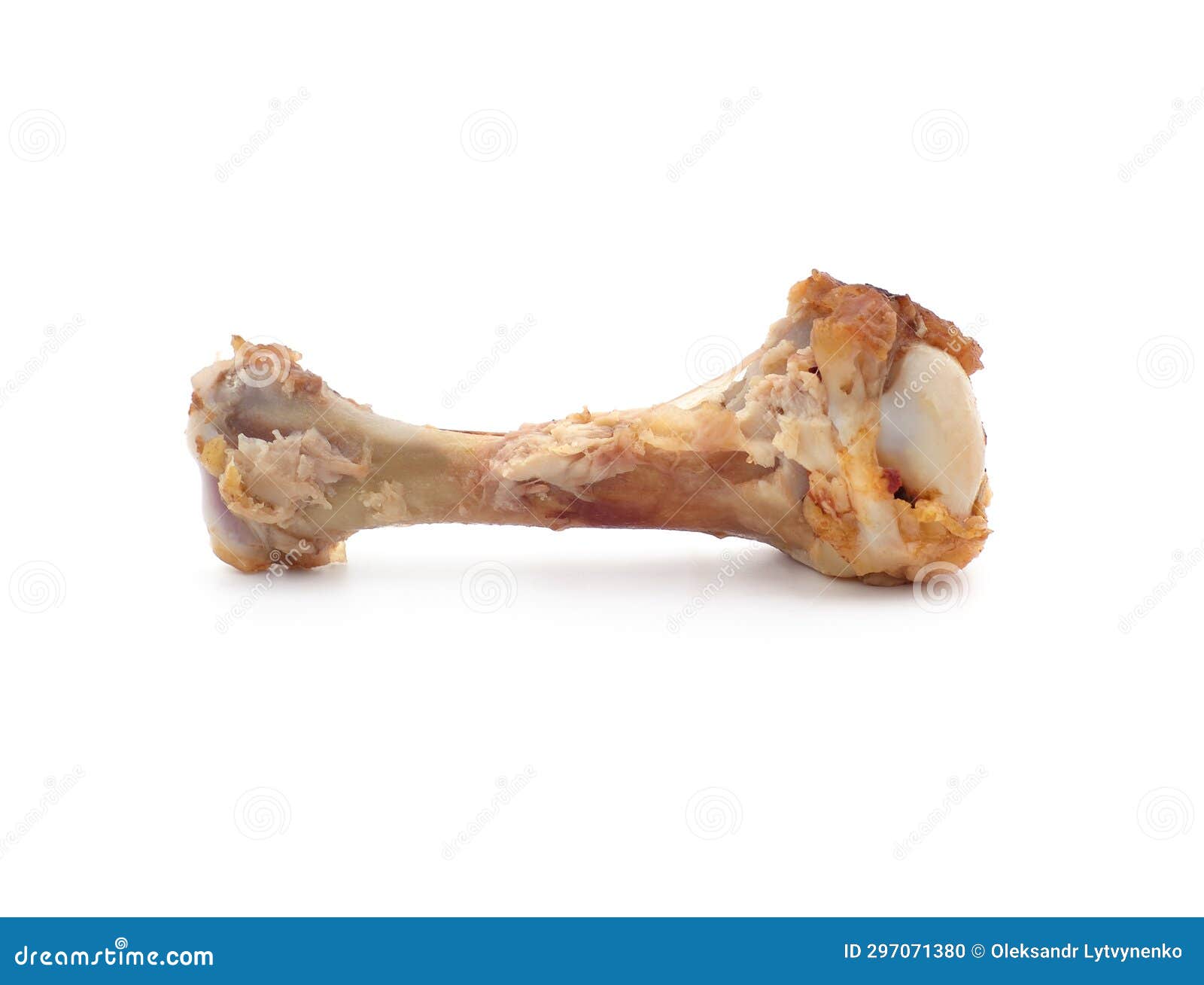 One chicken bone stock photo. Image of gourmet, grill - 297071380