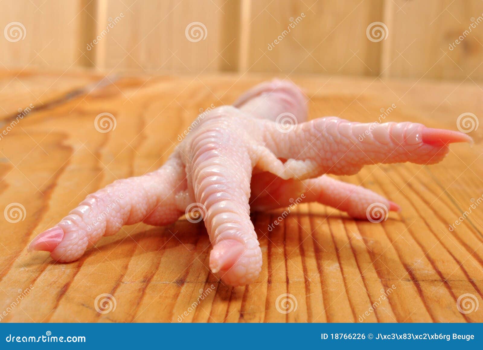 Raw Chicken Foot, Knife, Roots And Ampoules With Elixirs For Occult ...