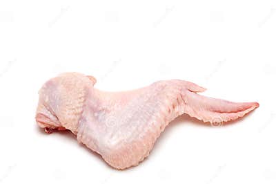 One chicken wing stock image. Image of fresh, rooster - 3886899