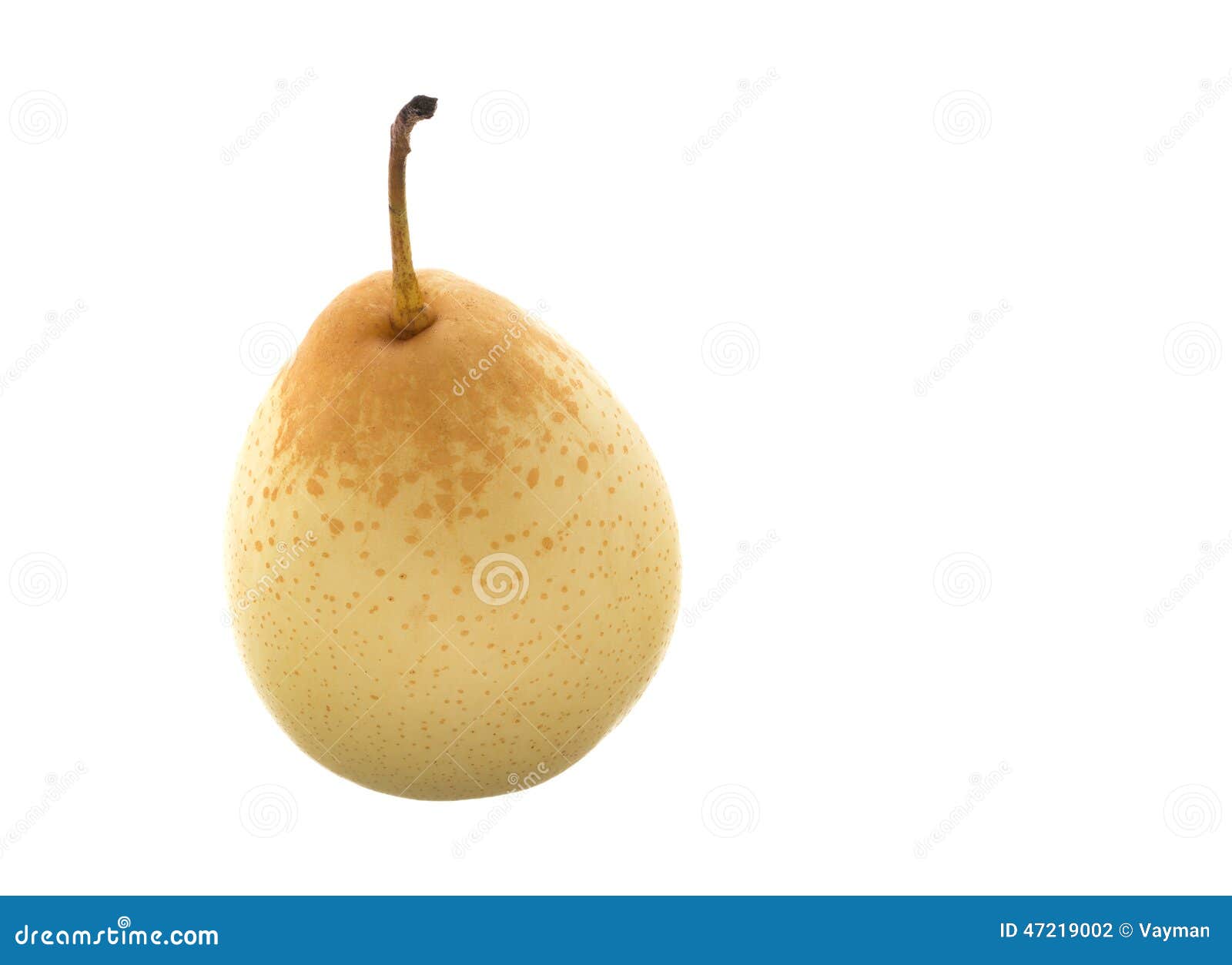 One chinese pear stock photo. Image of healthy, tasty - 47219002