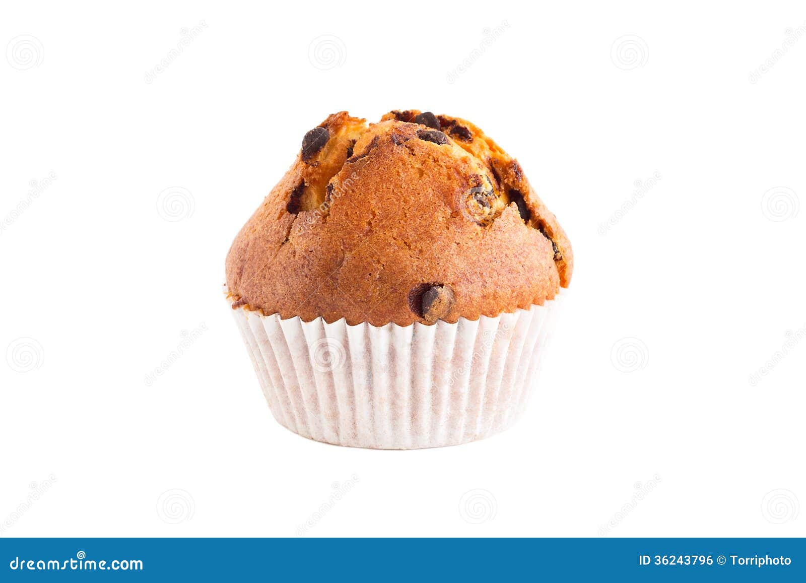 One chocolate chip muffin stock photo. Image of confectionery - 36243796