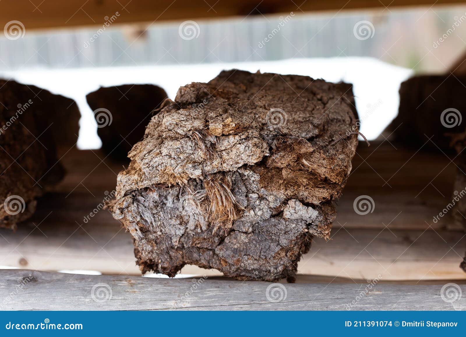 One Chunk of Peat Piled Up for Drying on Wooden Shelf. Peat Production ...