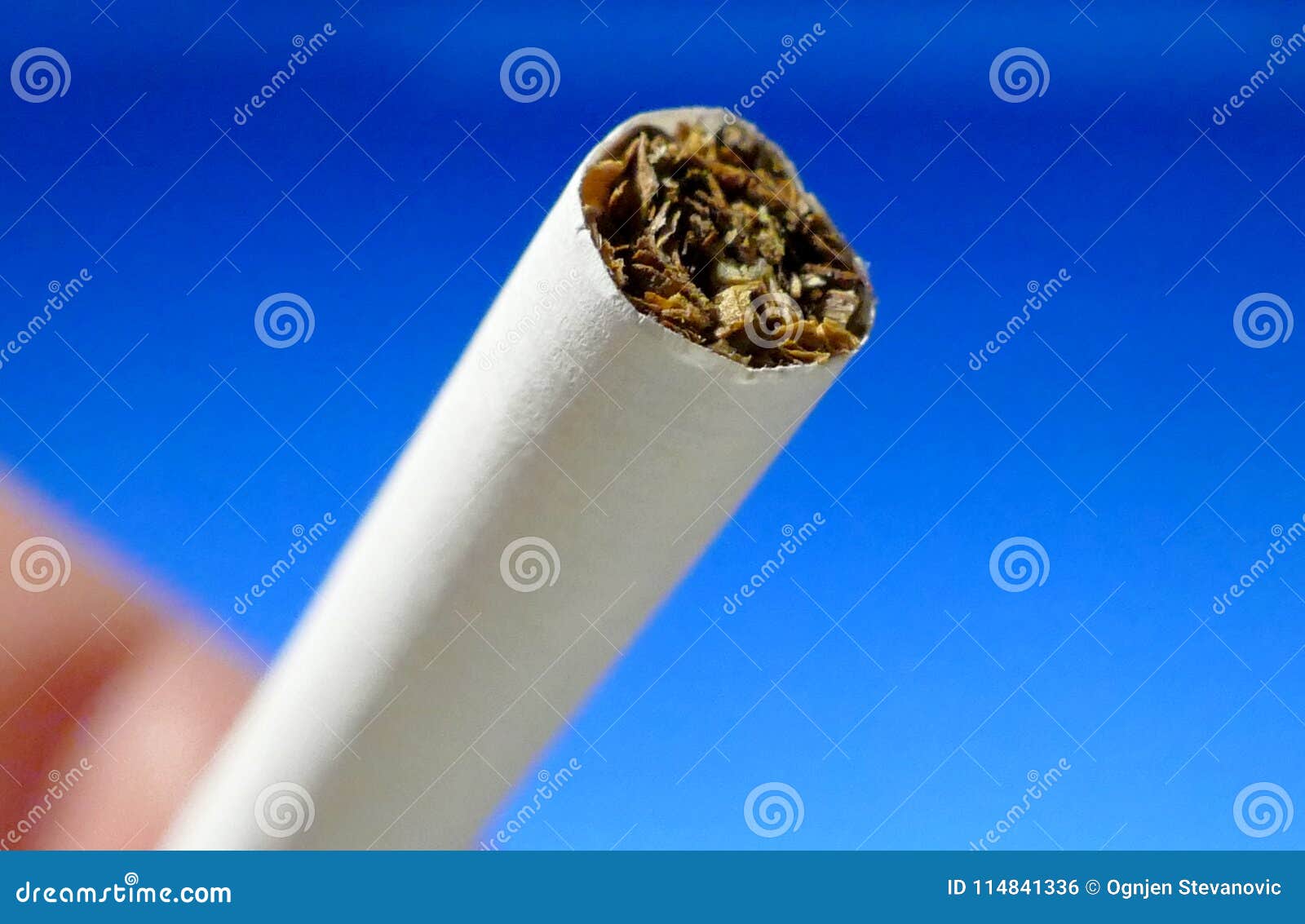One Cigarette in Hand Macro Shot on Stock Photo - Image of danger ...