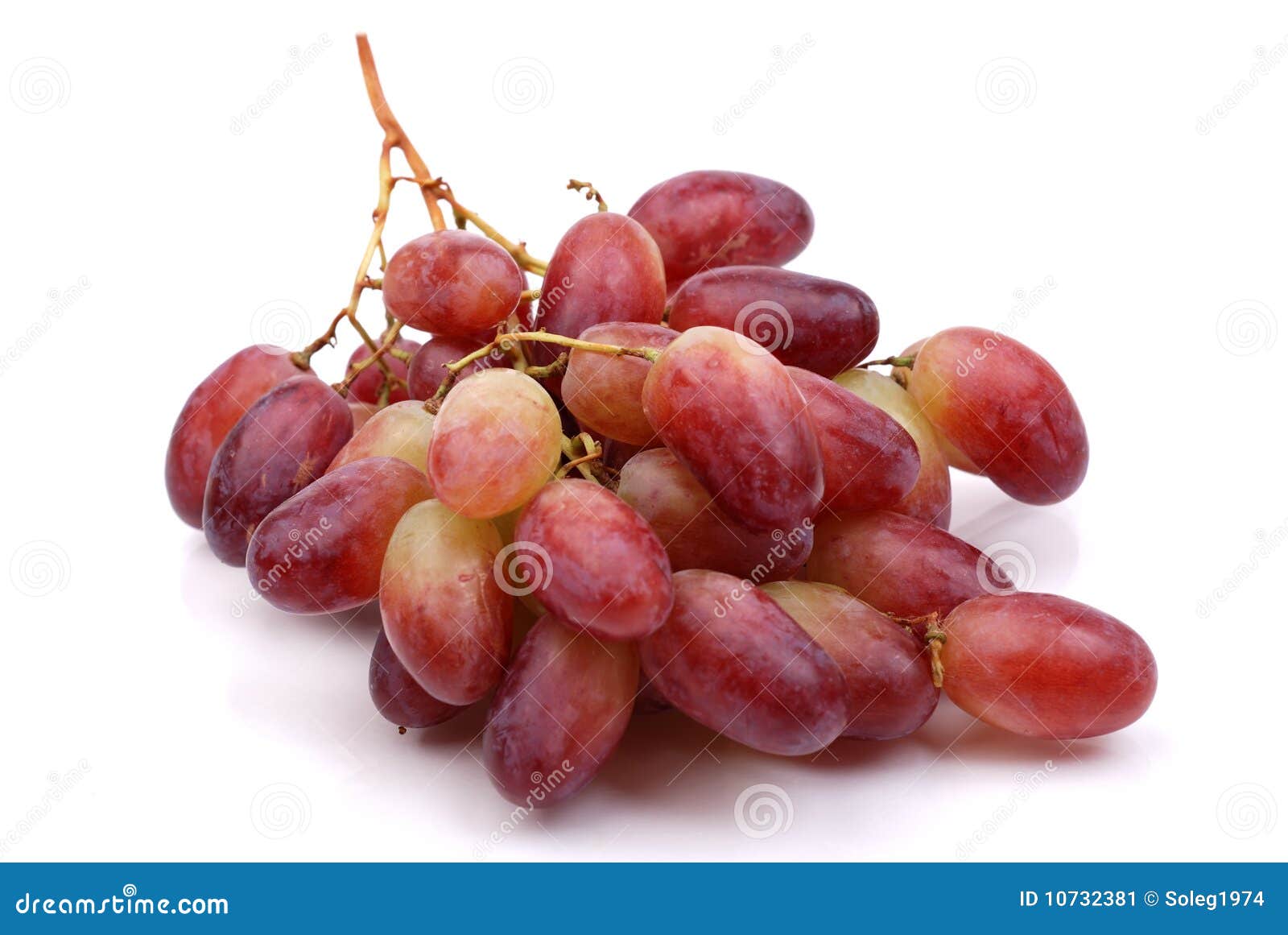 One cluster of red grapes stock image. Image of autumn - 10732381
