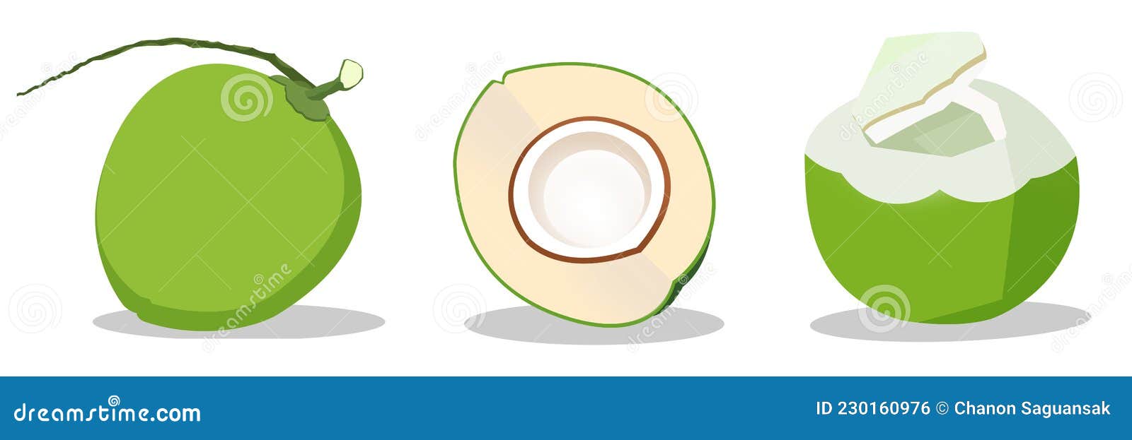 Coconut Half And Coco Segment. Hand Drawn Style Vector Sketch. Black Line Illustration On White ...