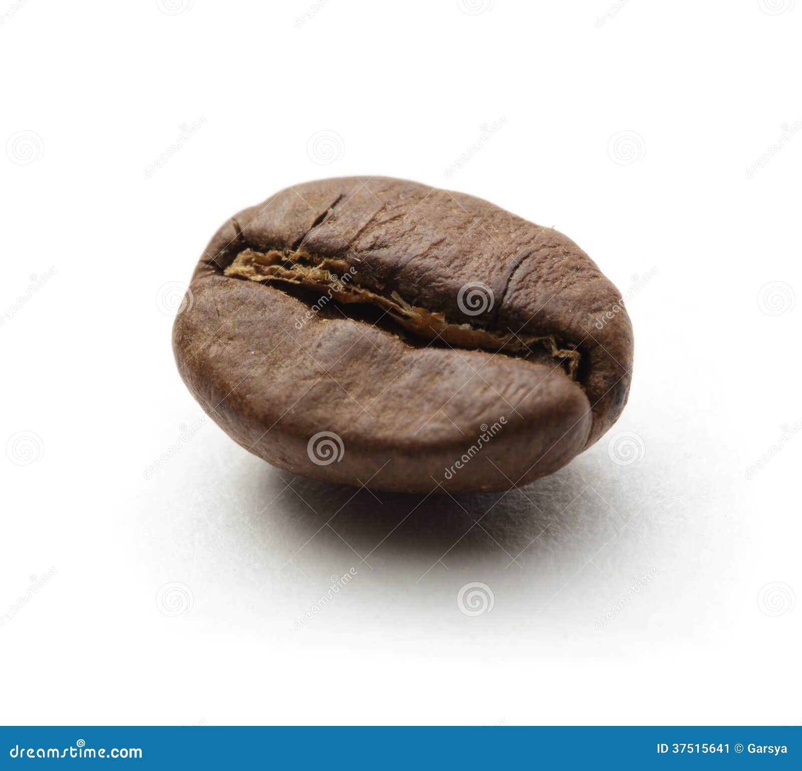 One coffee bean stock image. Image of scented, ingredient - 37515641