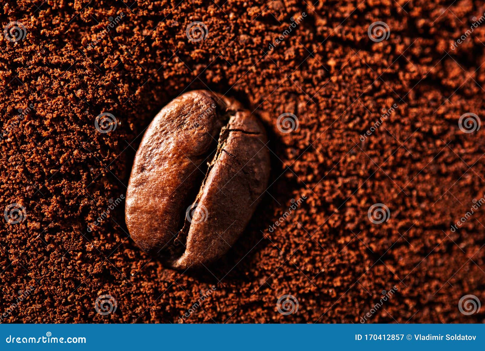 One Coffee Bean on Ground Coffee Stock Image - Image of break, arabian ...