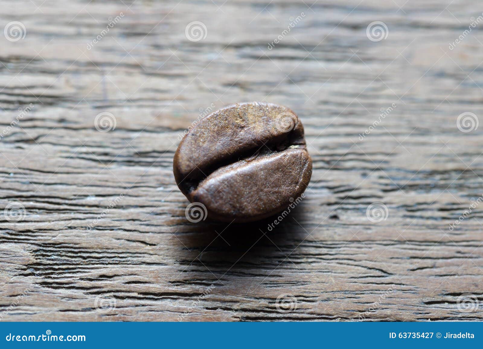 One Coffee Bean stock image. Image of arabic, brown, seed - 63735427