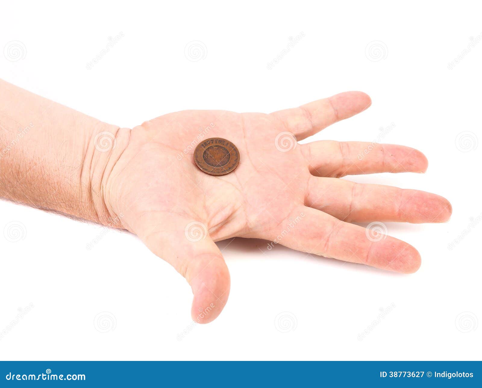 One coin in hand stock image. Image of price, shiny, sign - 38773627