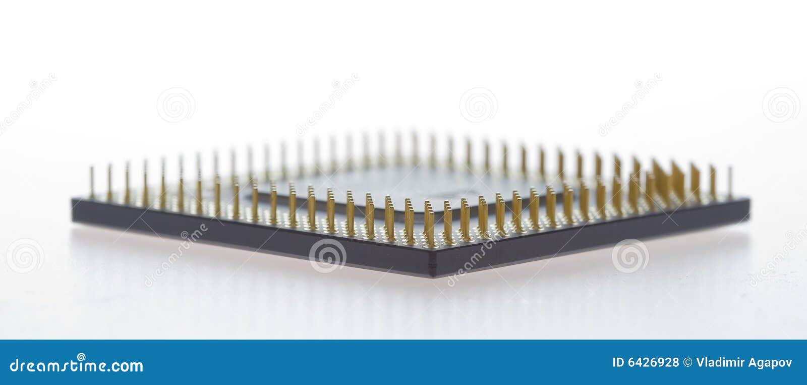 One Computer Processor on the White Background Stock Photo - Image of ...