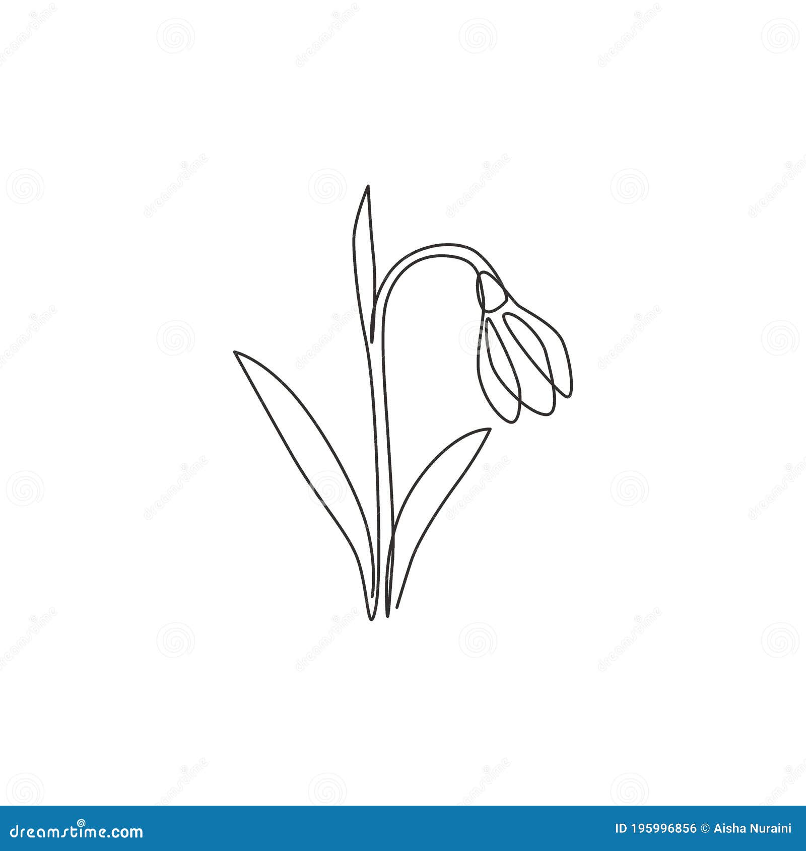 One Continuous Line Drawing Of Beauty Fresh Galanthus For Home Wall