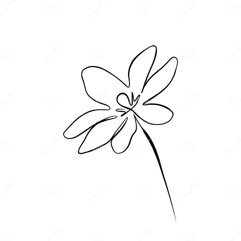 One Continuous Line Drawing Printable Decorative Poster Common Daisy
